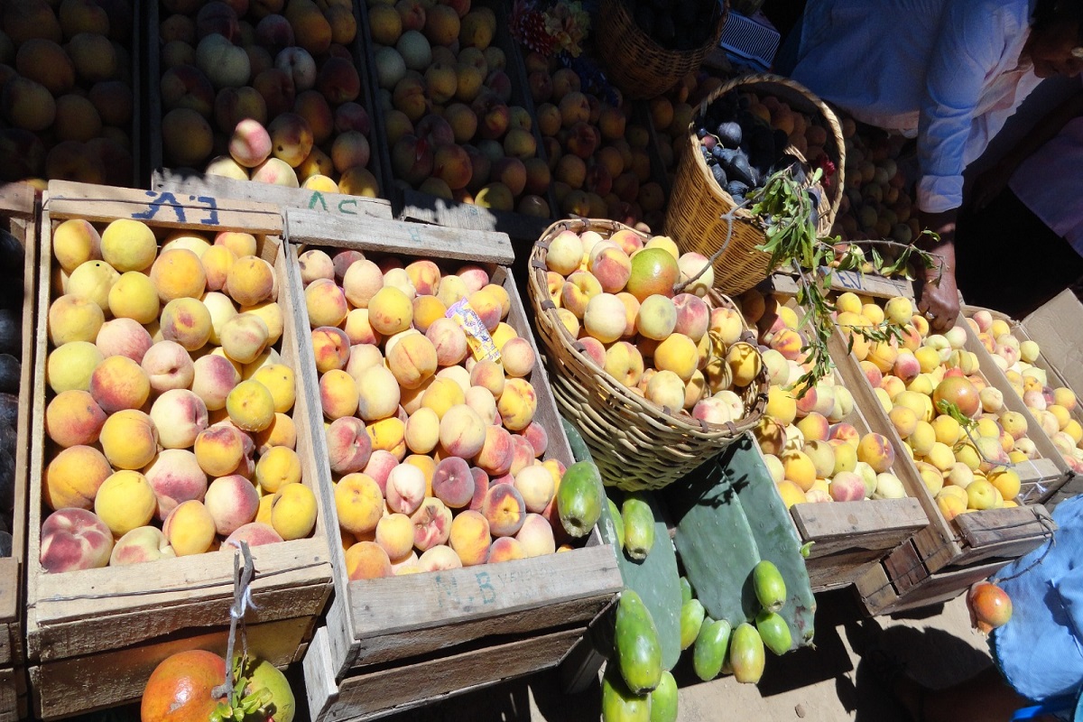 Escasez de agua afecta producción de duraznos en comunidades del ...